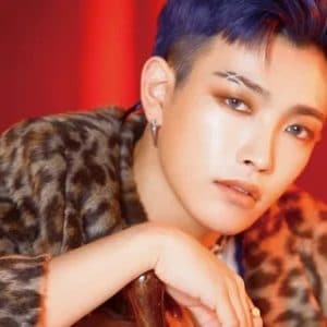 What do eyebrow slits represent?