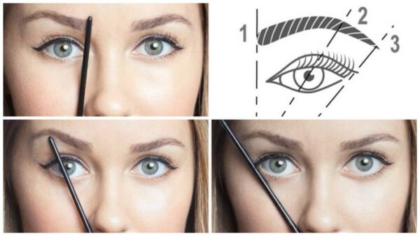 What is the most attractive eyebrow shape for women?