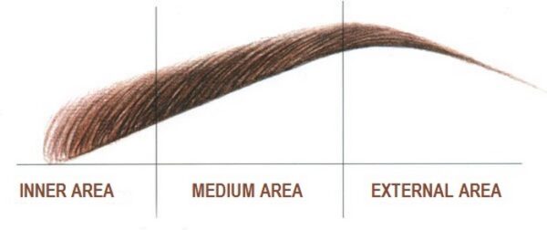 What is the most attractive eyebrow shape for women?