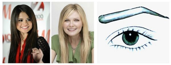 What is the most attractive eyebrow shape for women?