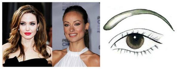 What is the most attractive eyebrow shape for women?