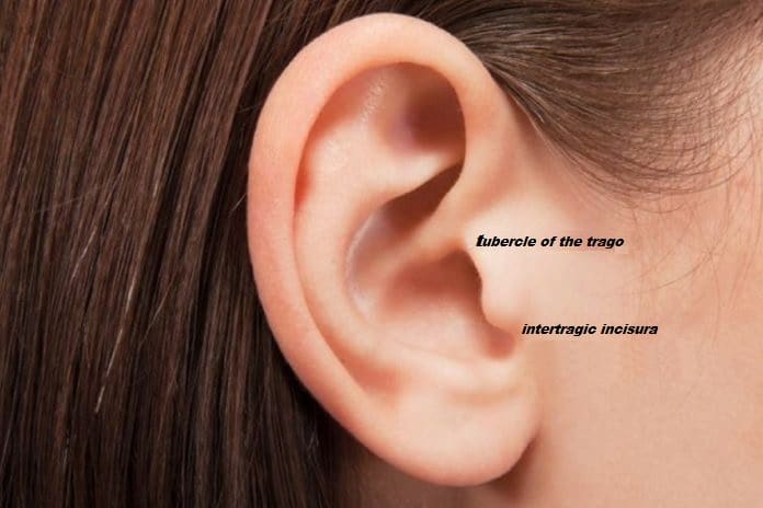 How to best design the perfect eyebrows?